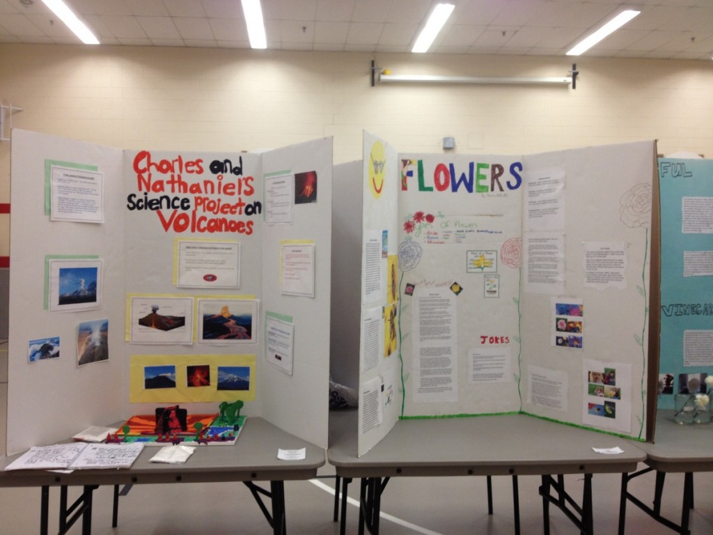 18th annual Science Fair at Keatsway PS - Waterloo Region District ...