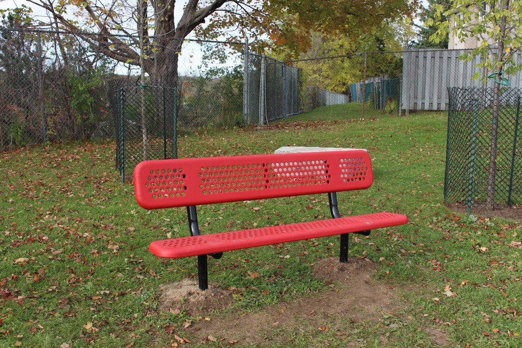 Buddy Benches bring friendship to Pioneer Park PS - Waterloo Region ...