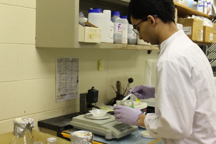 SJAM student wins international science competition - Waterloo Region ...