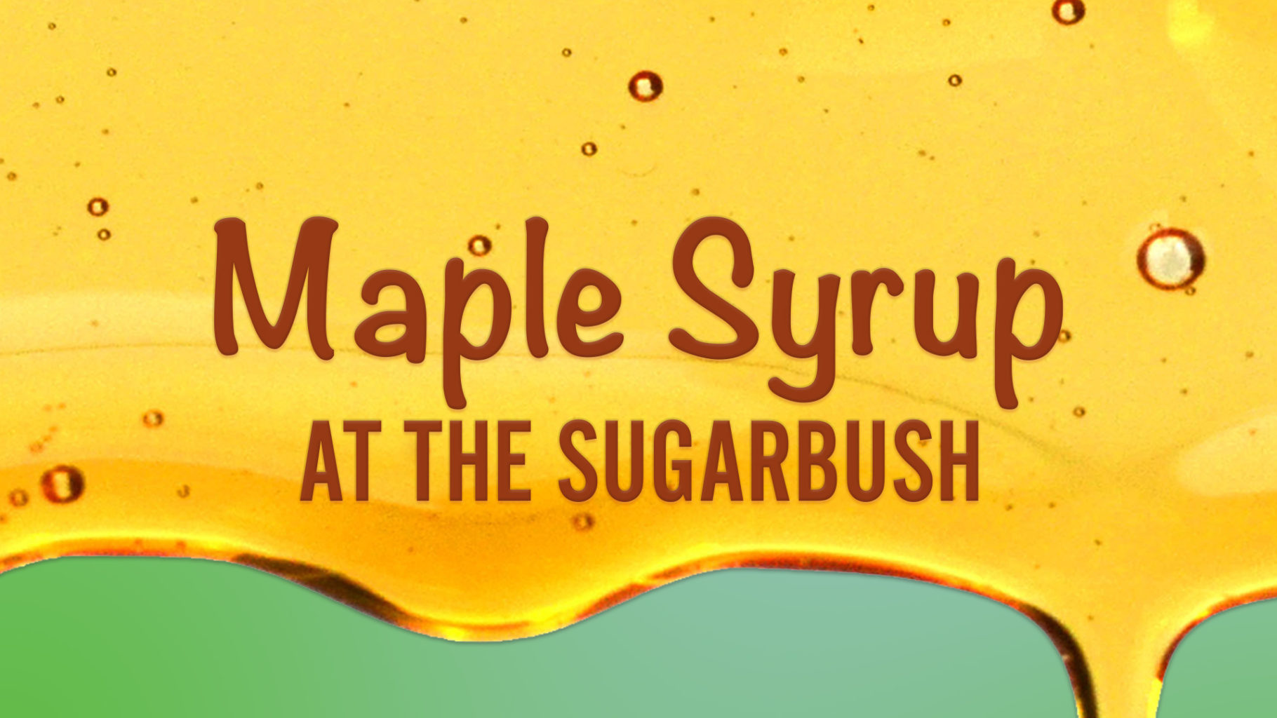 Maple Syrup at the Sugarbush - Waterloo Region District School Board ...