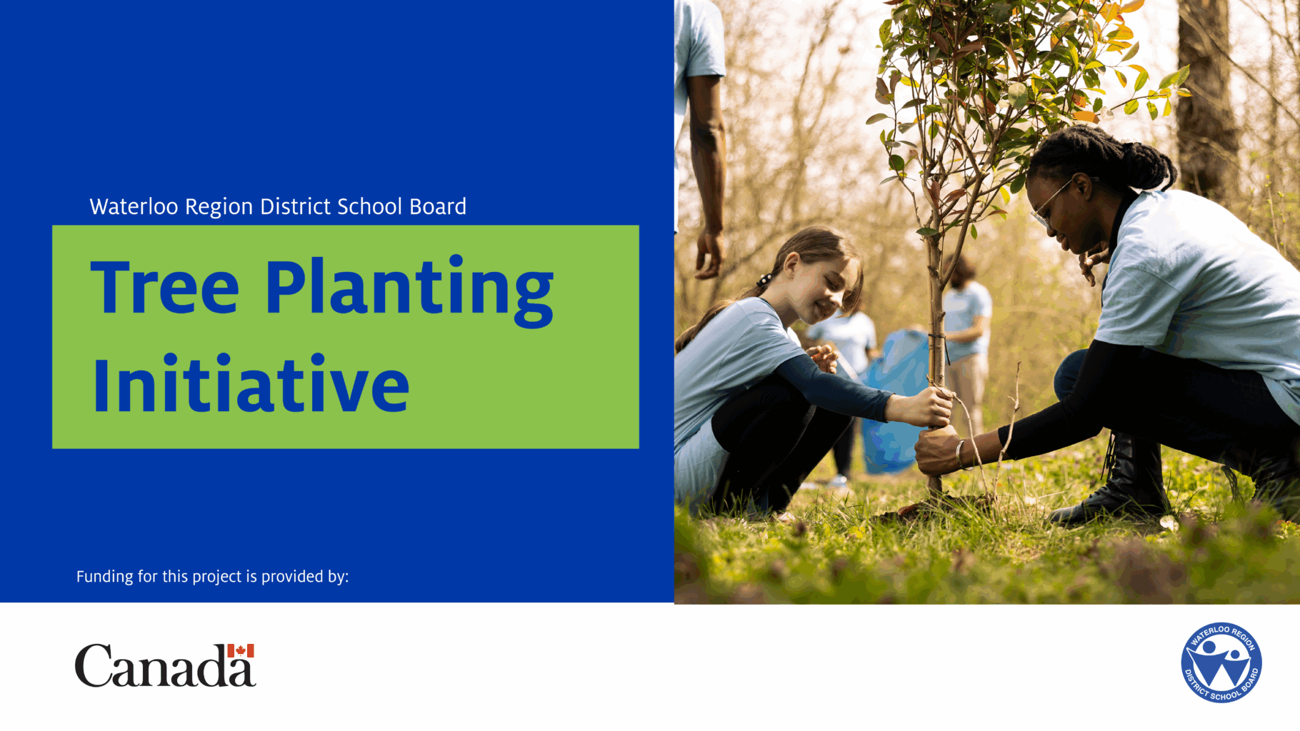 WRDSB Receives Federal Grant for Major Tree Planting Initiative ...