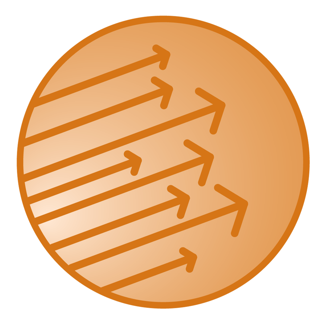 Learner Profile - Waterloo Region District School Board (Waterloo ...