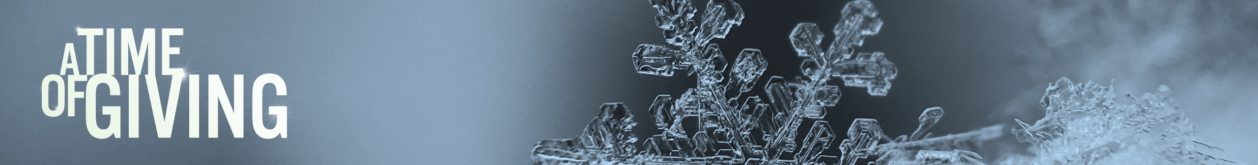 Bluevale Students Choose to Lead the Giving Way - Waterloo Region ...