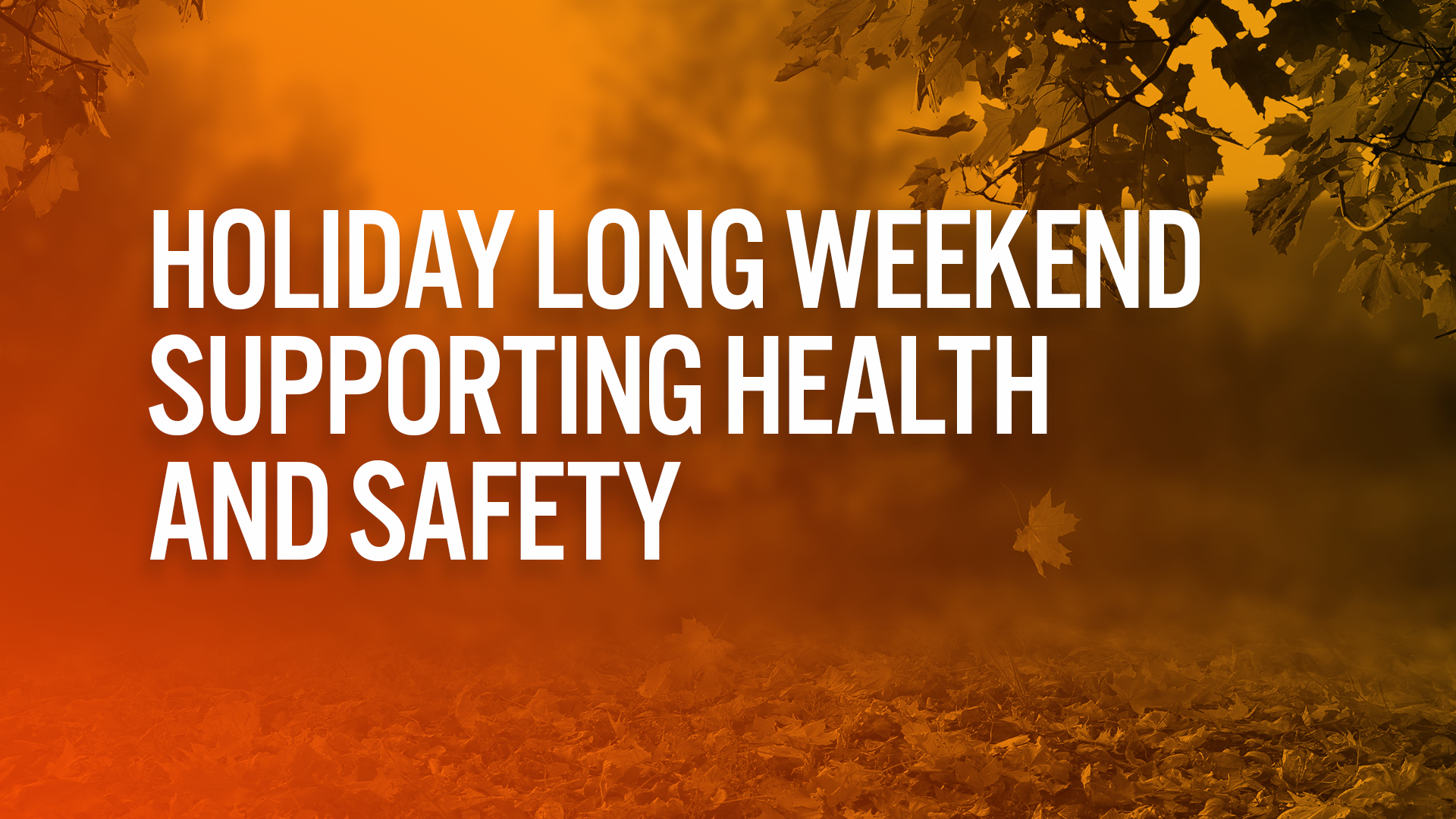 Holiday Long Weekend: Supporting Health and Safety - Waterloo Region ...